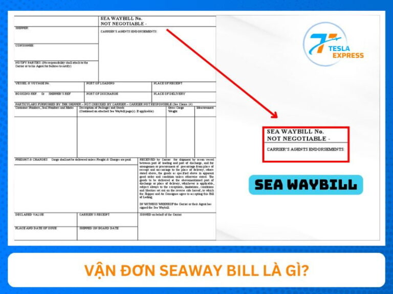 Tìm hiểu chi tiết vận đơn Seaway Bill là gì trong 2025